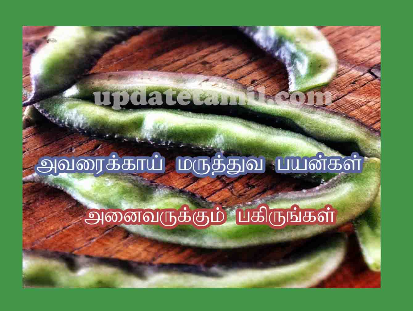 அவரைக்காய் பயன்கள் | Avarakkai in Uses Tamil - Update Thamizha