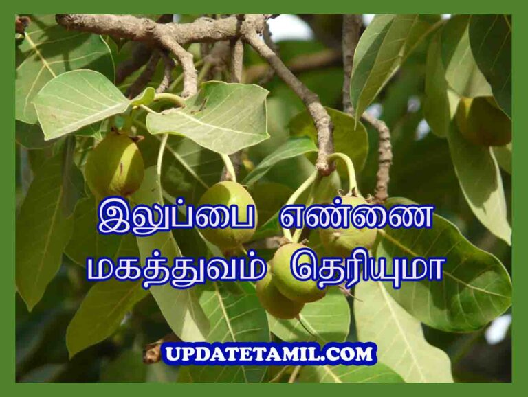 நல்லெண்ணெய் மருத்துவ பயன்கள் Nallennai Benefits in Tamil - Update ...