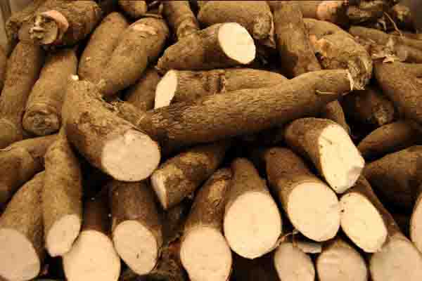 மரவள்ளி கிழங்கு நன்மைகள் | Maravalli Kilangu Benefits in Tamil - Update ...