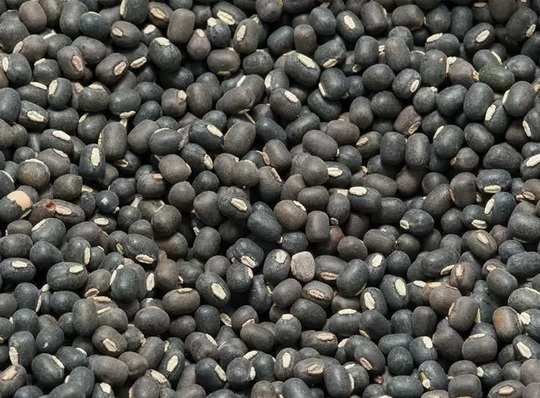 உளுந்து பயன்கள் தீமைகள் | UluthamParuppu Health Benefits in Tamil ...