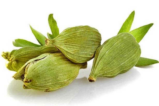 ஏலக்காய் மருத்துவ பயன்கள் | Elakkai in Tamil - Update Thamizha