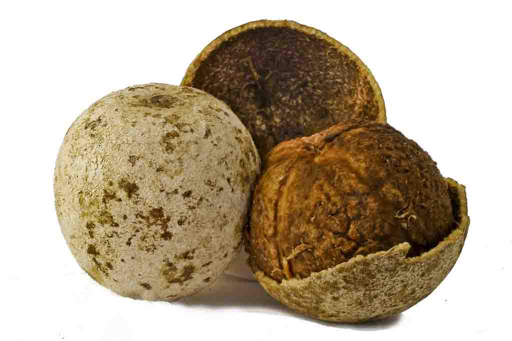 விளாம்பழம் மருத்துவ குணங்கள் | Vilampazham Fruit Benefits - Update Thamizha