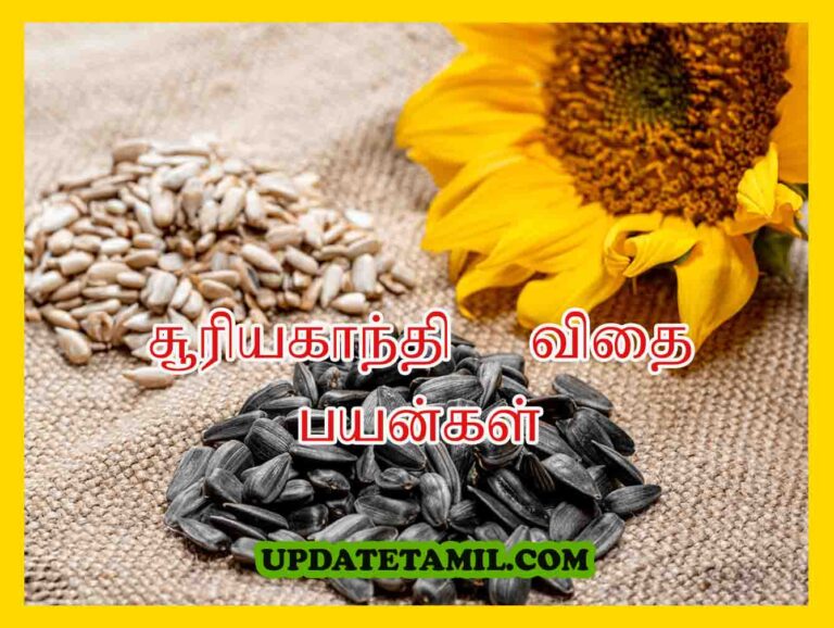 நல்லெண்ணெய் மருத்துவ பயன்கள் Nallennai Benefits in Tamil - Update ...