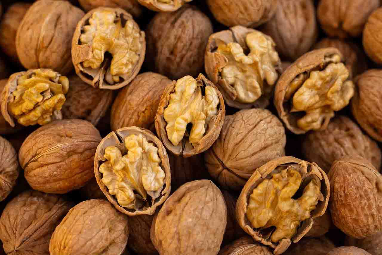 வால்நட் பயன்கள் | Walnut Benefits in Tamil - Update Thamizha