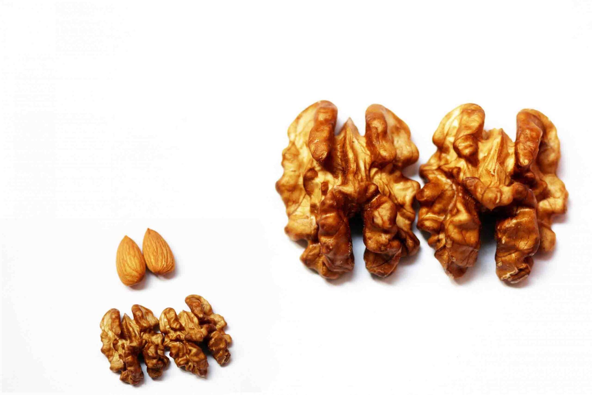 வால்நட் பயன்கள் | Walnut Benefits in Tamil - Update Thamizha