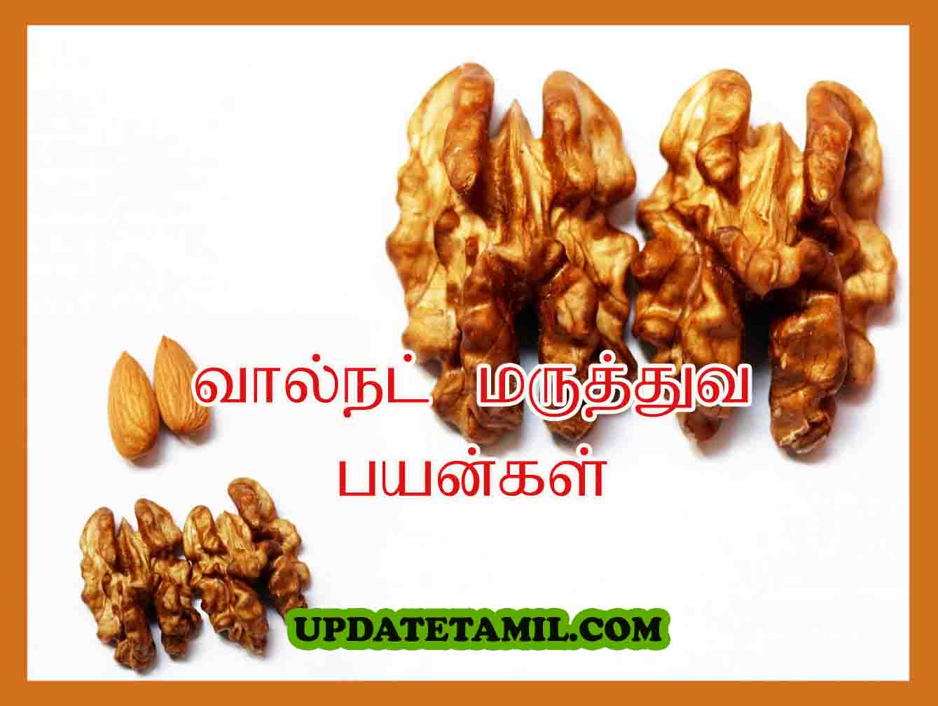 வால்நட் பயன்கள் | Walnut Benefits in Tamil - Update Thamizha