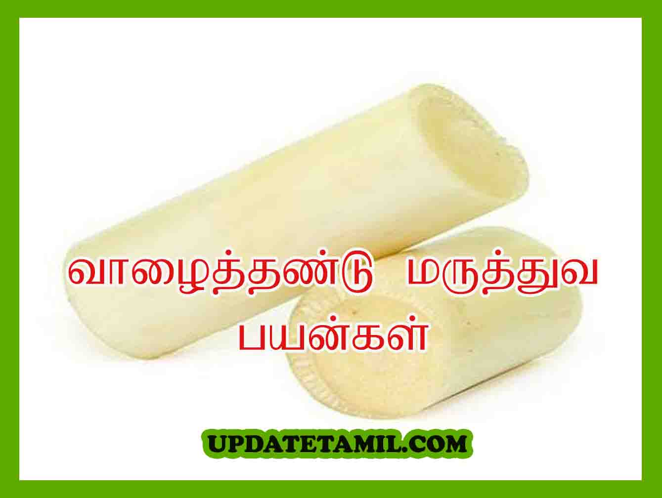 வாழைத்தண்டு பயன்கள் | Valaithandu Benefits in Tamil - Update Thamizha