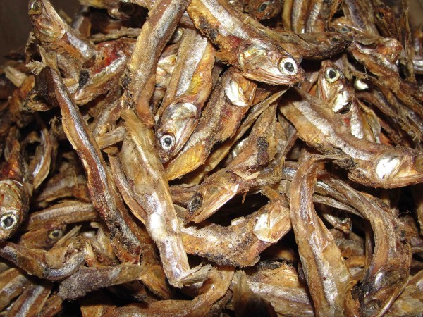 கருவாடு பயன்கள் | Dry Fish Benefits in Tamil - Update Thamizha