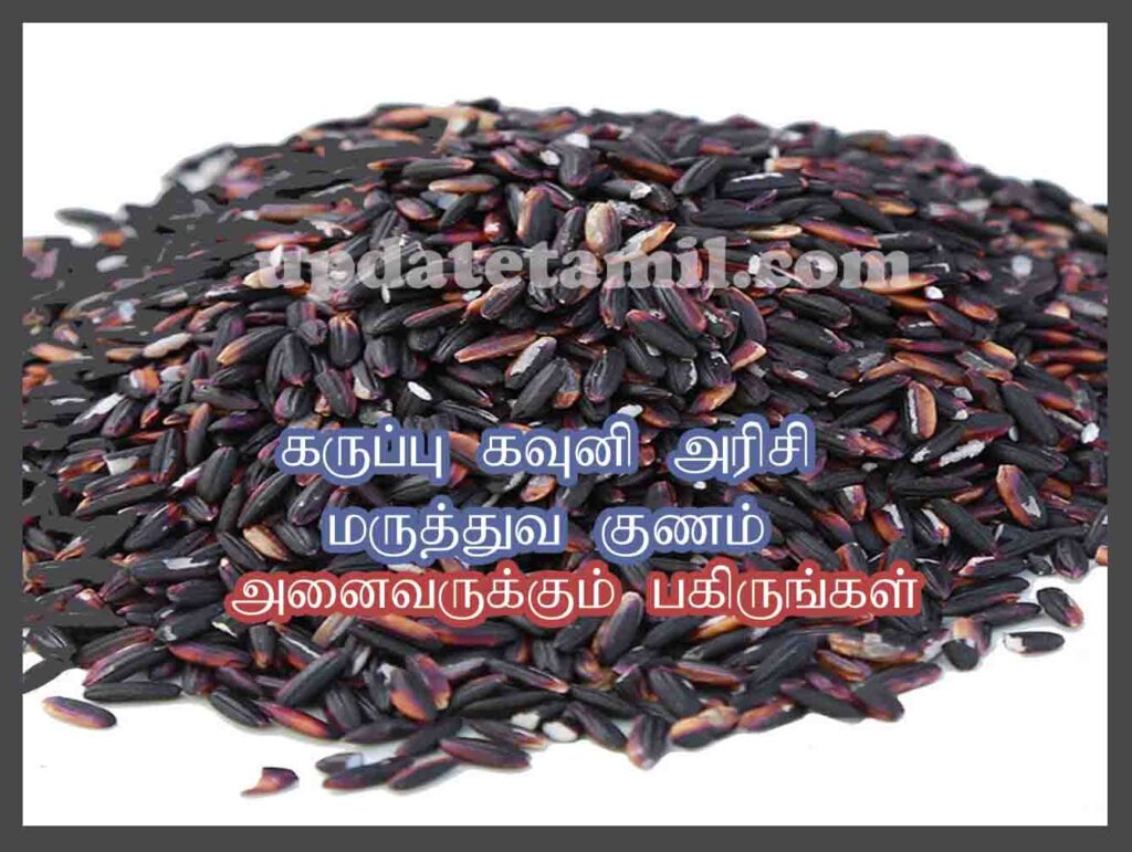 அரிசி வகைகள் Archives - Update Thamizha