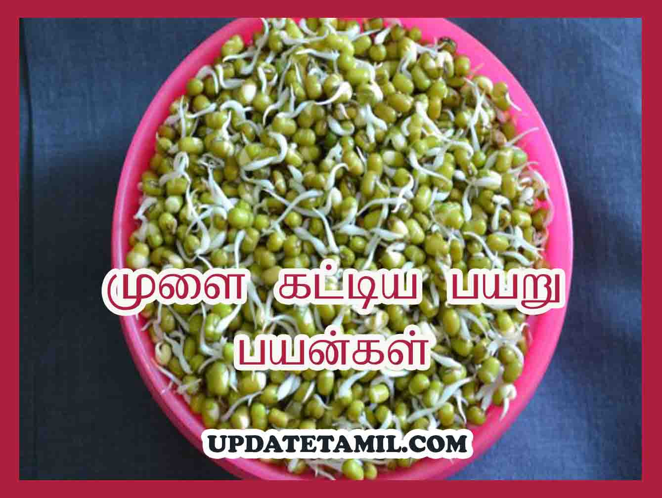 முளை கட்டிய பயறு பயன்கள் | Mulaikattiya Pachai Payaru Benefits in Tamil ...