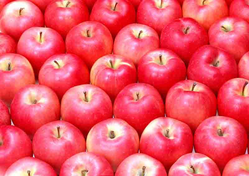 ஆப்பிள் பழத்தின் நன்மைகள் | Apple Benefits in Tamil - Update Thamizha