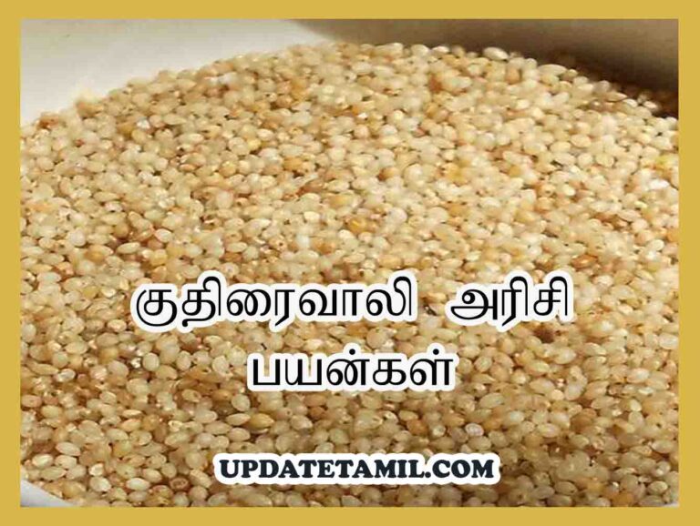 அரிசி வகைகள் Archives - Update Thamizha