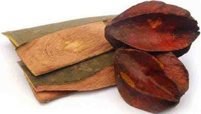 மருதம் பட்டை பொடி பயன்கள் | Marutham Pattai Powder Benefits - Update ...