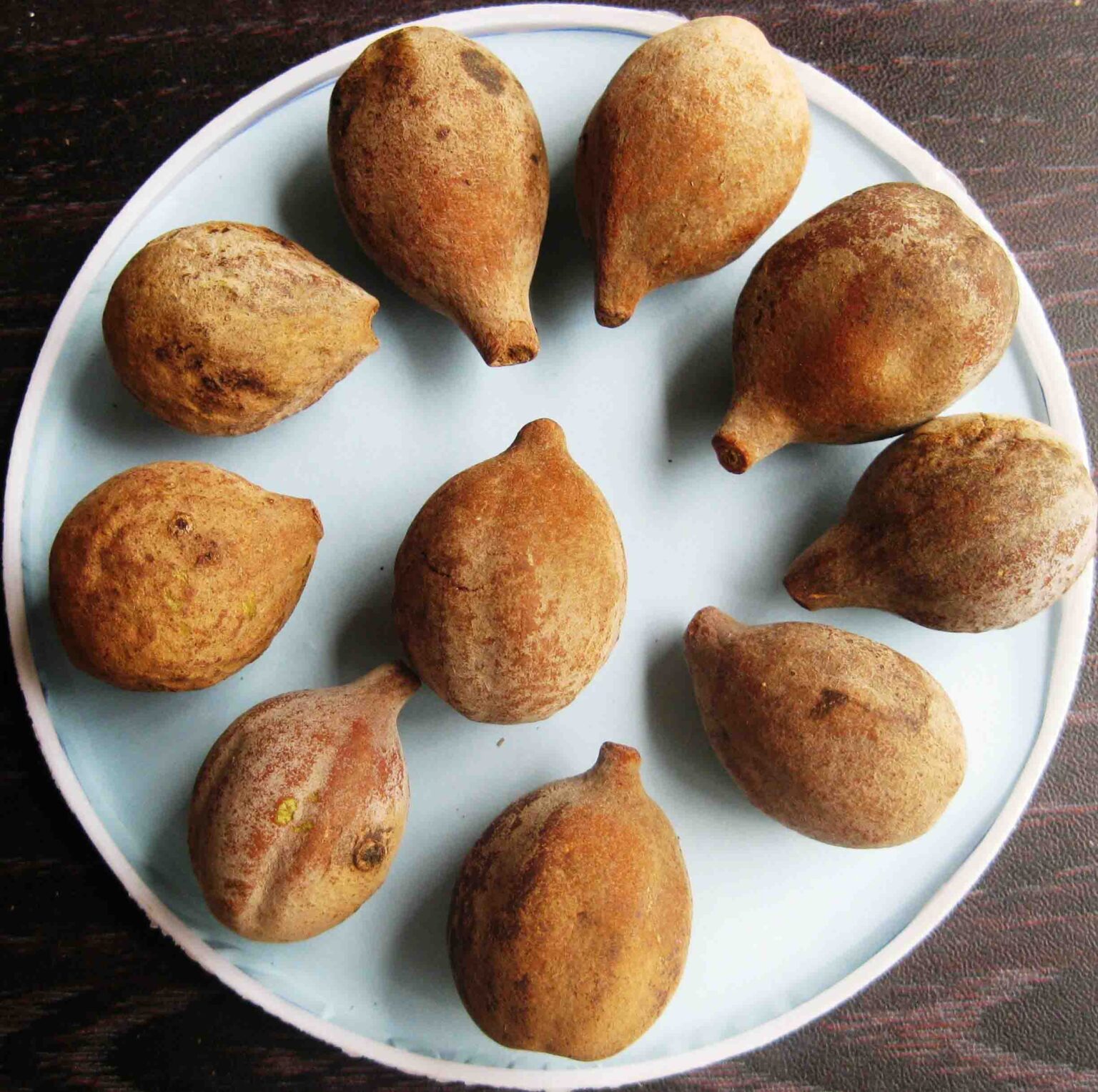 தான்றிக்காய் பயன்கள் | Thandrikai Uses in Tamil - Update Thamizha